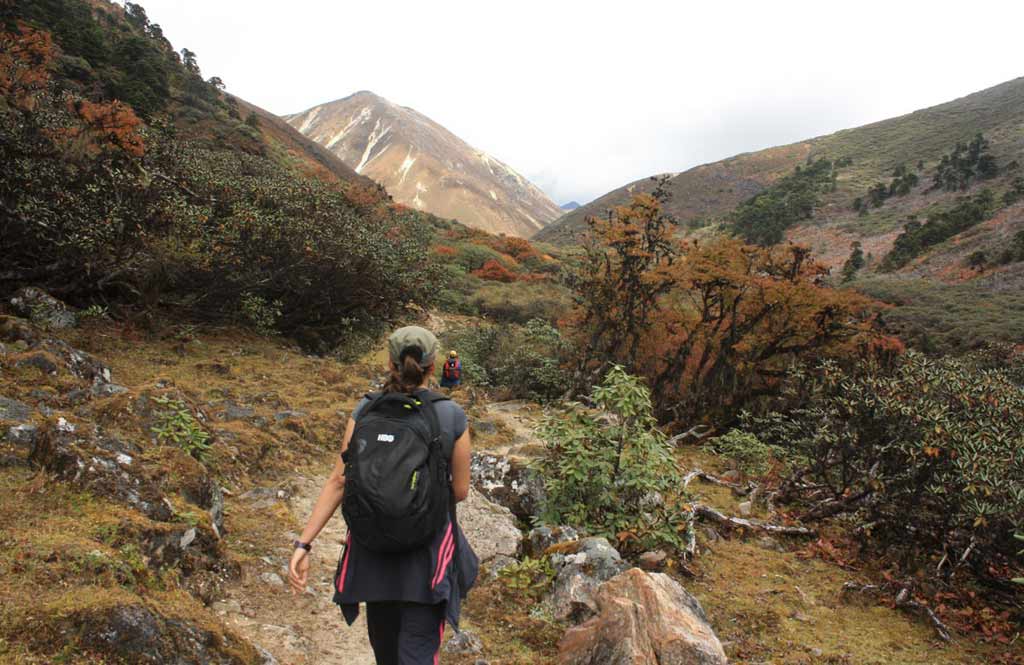 Bailey Trail Trek - Best Season | Itinerary | Reviews - Kipepeo