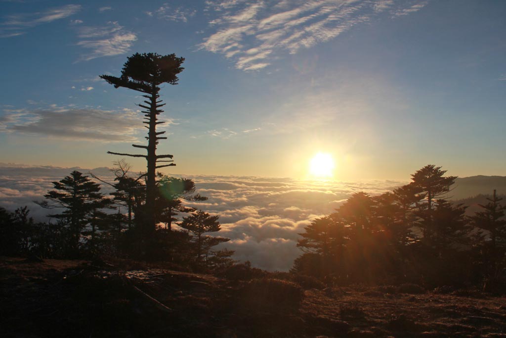 Bailey Trail Trek - Best Season | Itinerary | Reviews - Kipepeo