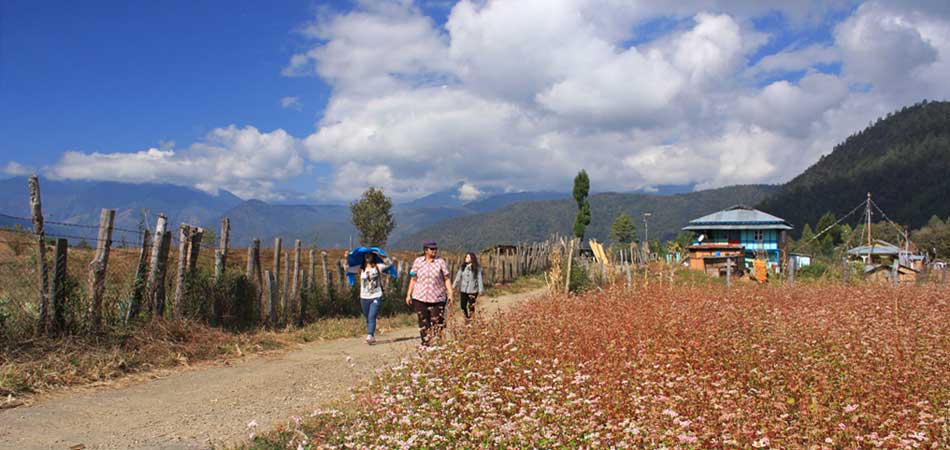 Dirang Explorative - Kipepeo