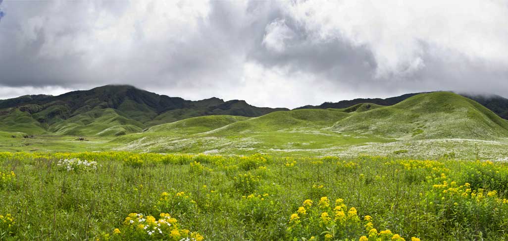 Dzukou Valley Trek in Nagaland - Best Season | Itinerary | Reviews ...
