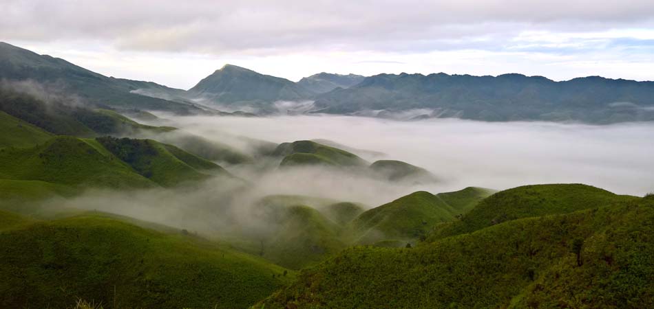 Dzukou Valley Trek in Nagaland - Best Season | Itinerary | Reviews ...