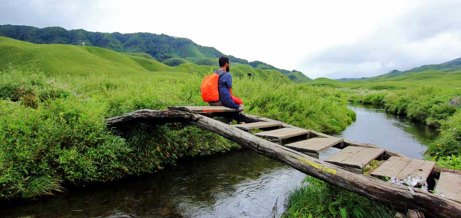 Dzukou Valley Trek in Nagaland - Best Season | Itinerary | Reviews ...