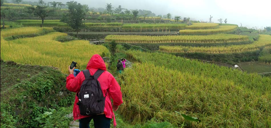Nagaland Group Tour - Kipepeo