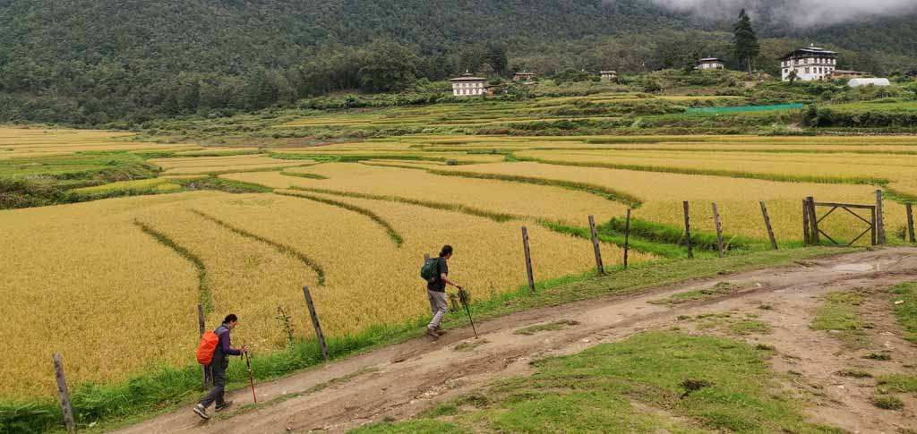Trans Bhutan Trail - Kipepeo